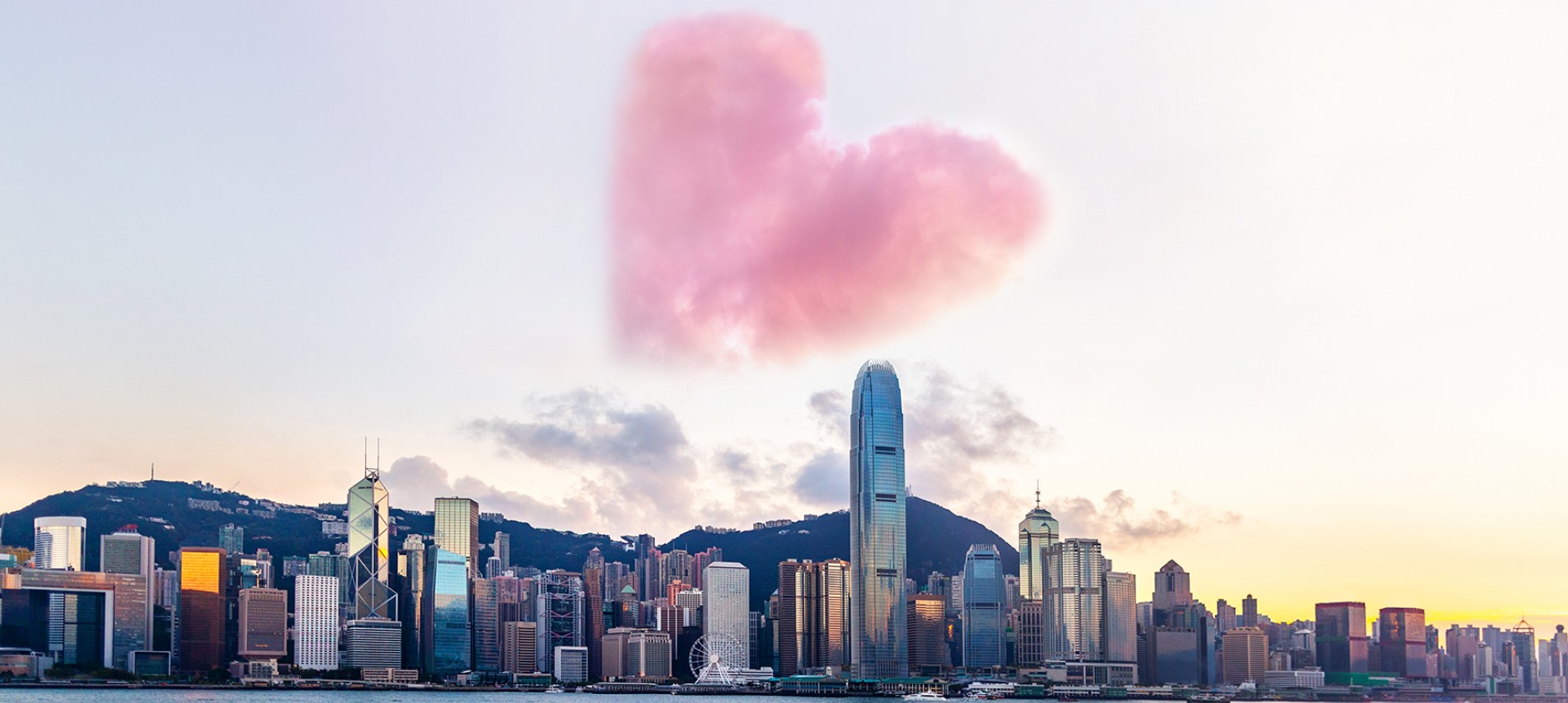 Home | Hong Kong Community Foundation 香港社區基金 (HKCF)